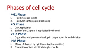 Cell Cycle.pptx