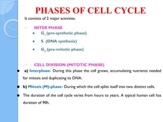cell cycle.pdf