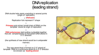 Cell cycle.pptx