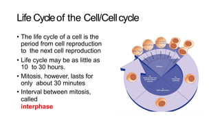 Cell cycle.pptx