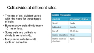 Cell cycle.pptx