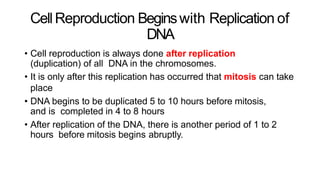 Cell cycle.pptx