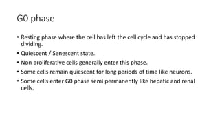 CELL CYCLE.pptx