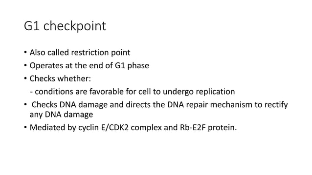 Cell Cycle Pptx