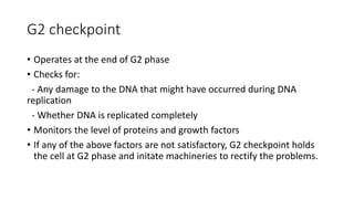 CELL CYCLE.pptx