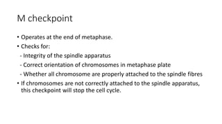 CELL CYCLE.pptx
