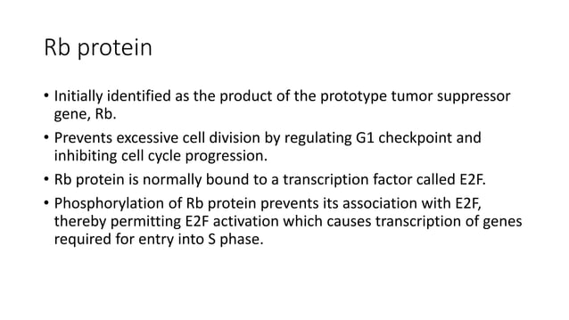Cell Cycle Pptx