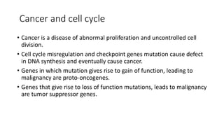 CELL CYCLE.pptx