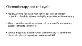 CELL CYCLE.pptx