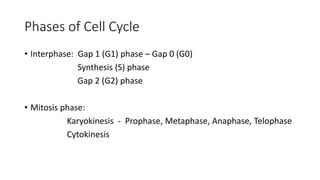 CELL CYCLE.pptx