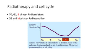 CELL CYCLE.pptx