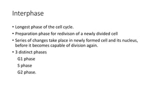 CELL CYCLE.pptx