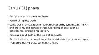 CELL CYCLE.pptx
