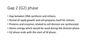 CELL CYCLE.pptx