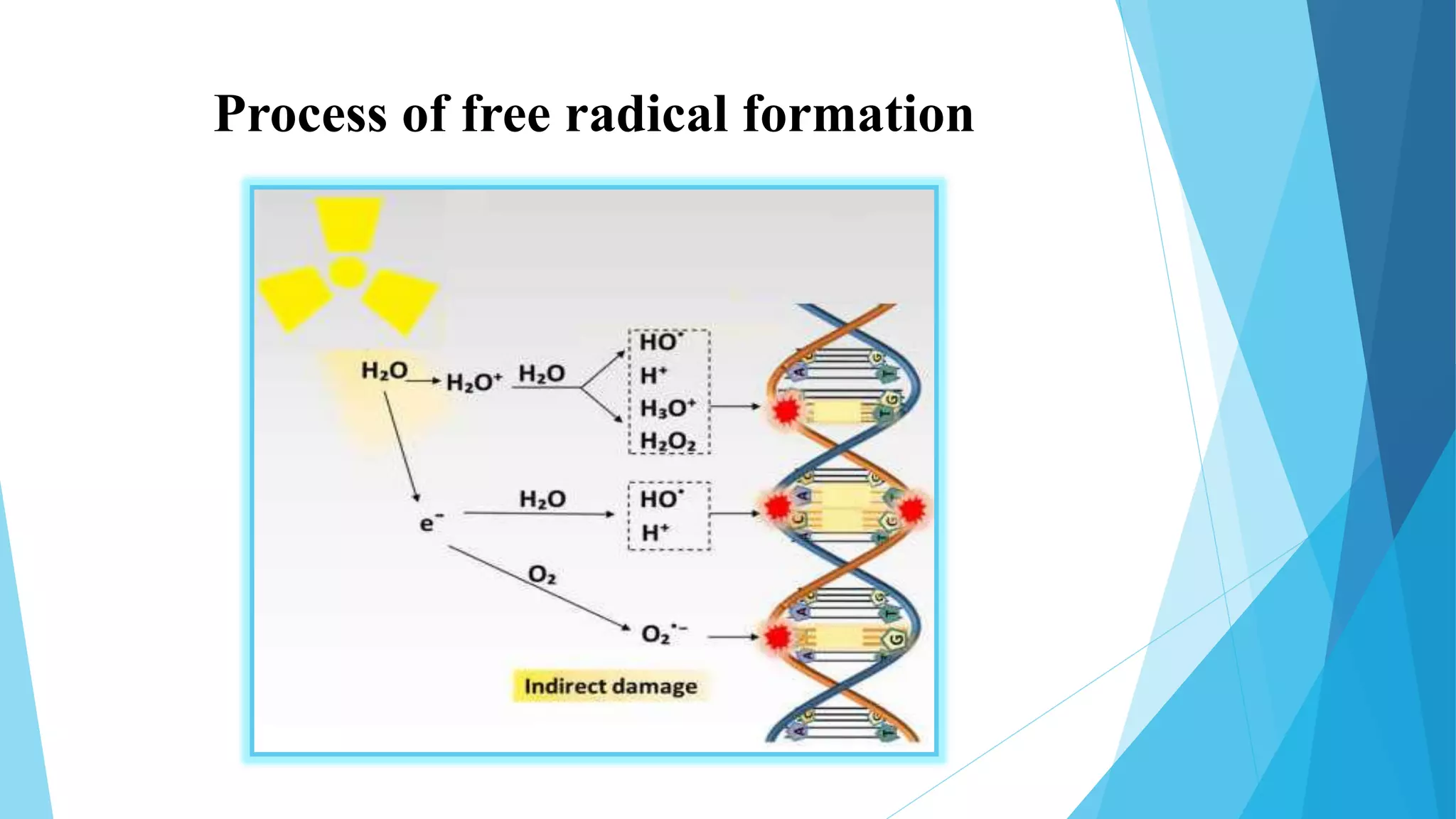 CELL CYCLE,.pptx