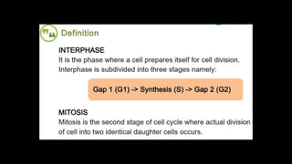 Cell Cycle.pptx | Biological Sciences | Science