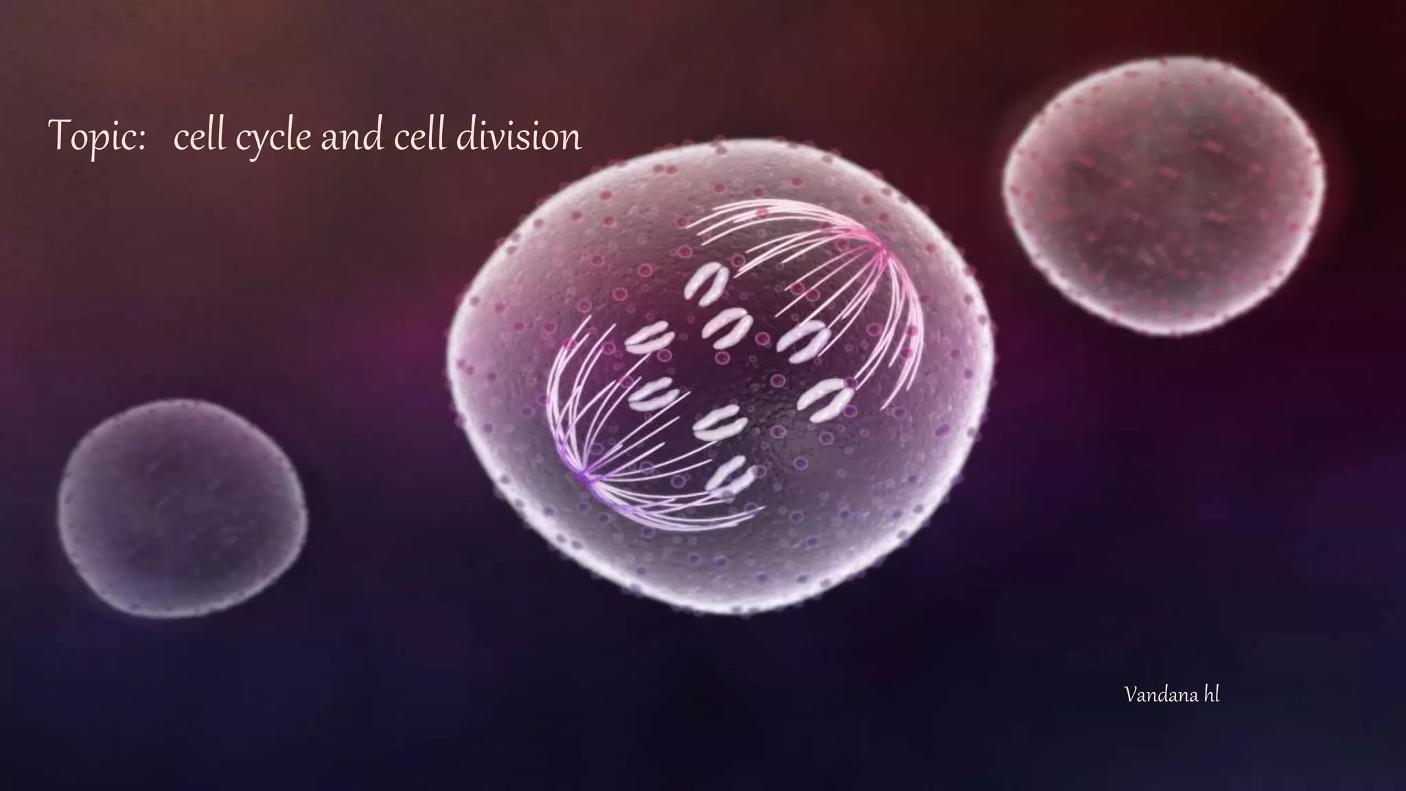 cell cycle and cell division part one | PPTX
