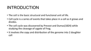 cell cycle and cell division part one | PPT