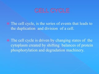 CELL CYCLE .ppt