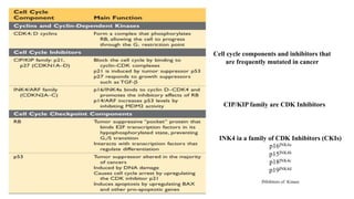 CELL CYCLE.pptx | Endocrine and Metabolic Diseases | Diseases and ...