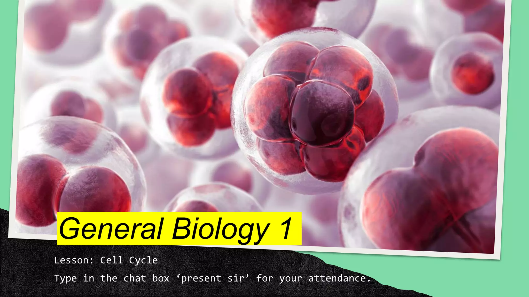 Cell Cycle.pptx | Biological Sciences | Science