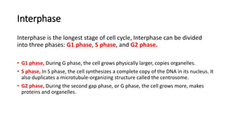 Cell cycle.pptx