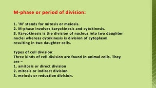 Phases of Cell Cycle-XI Biology -Tarini.pptx