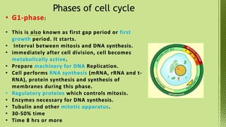 Phases of Cell Cycle-XI Biology -Tarini.pptx