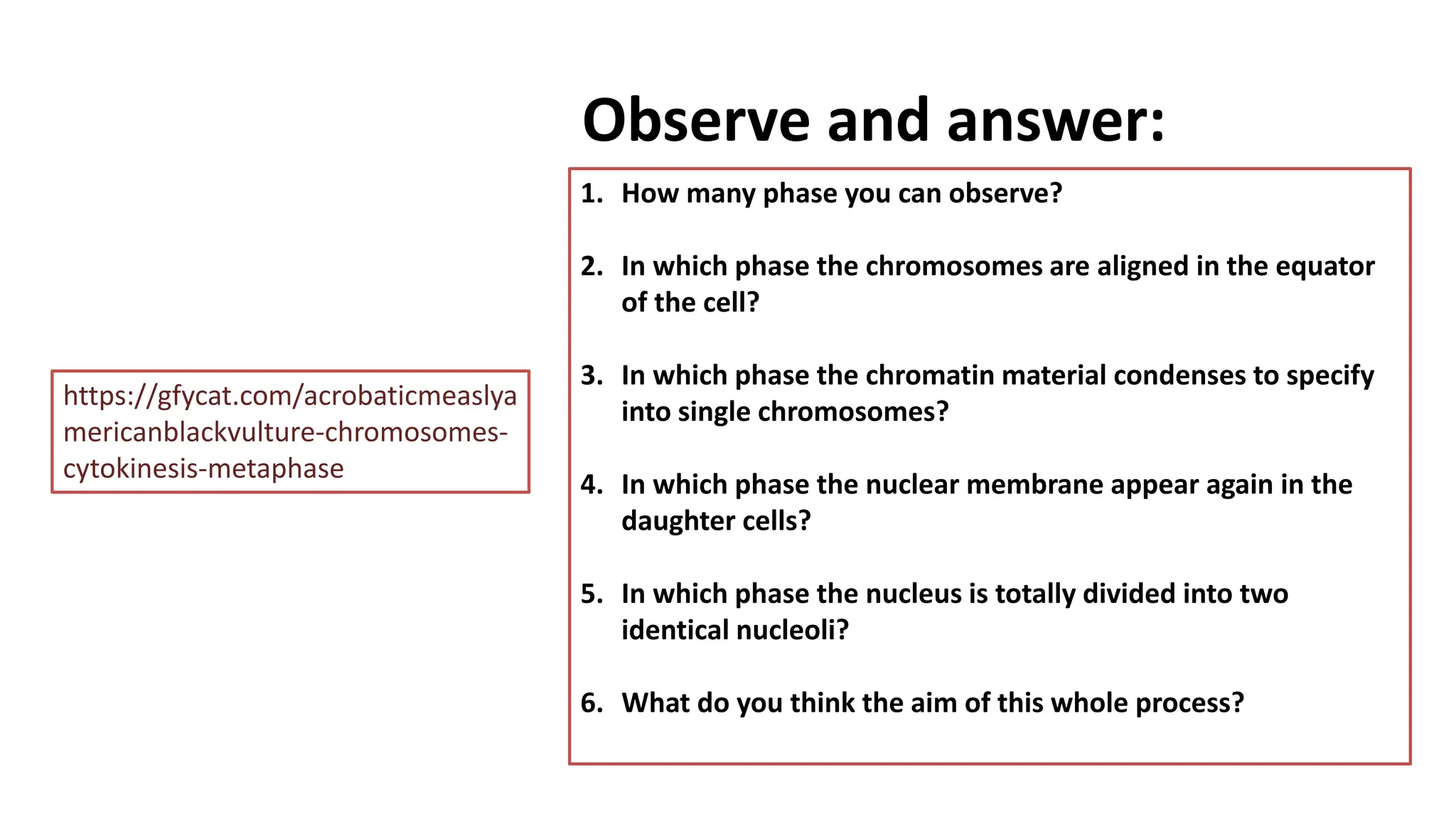 cell cycle stages for high school grades .pptx