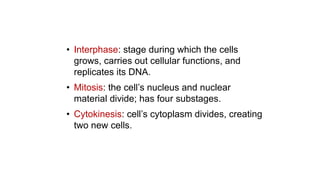 cell cycle stages for high school grades .pptx