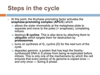 Cell cycle and its regulation . topic from essential of genetics.pptx