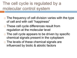 Cell cycle and its regulation . topic from essential of genetics.pptx