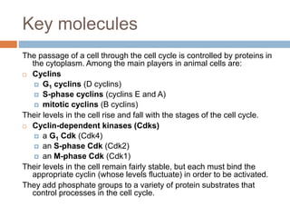 Cell cycle and its regulation . topic from essential of genetics.pptx