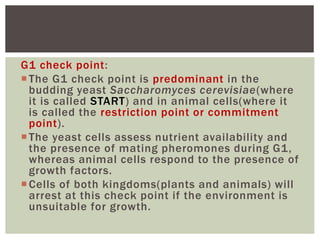 Cell Cycle- an essential part of cell growth | PPT