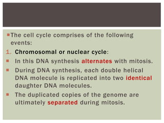 Cell Cycle- an essential part of cell growth | PPTX