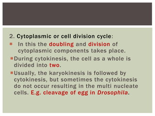 Cell Cycle- an essential part of cell growth | PPTX