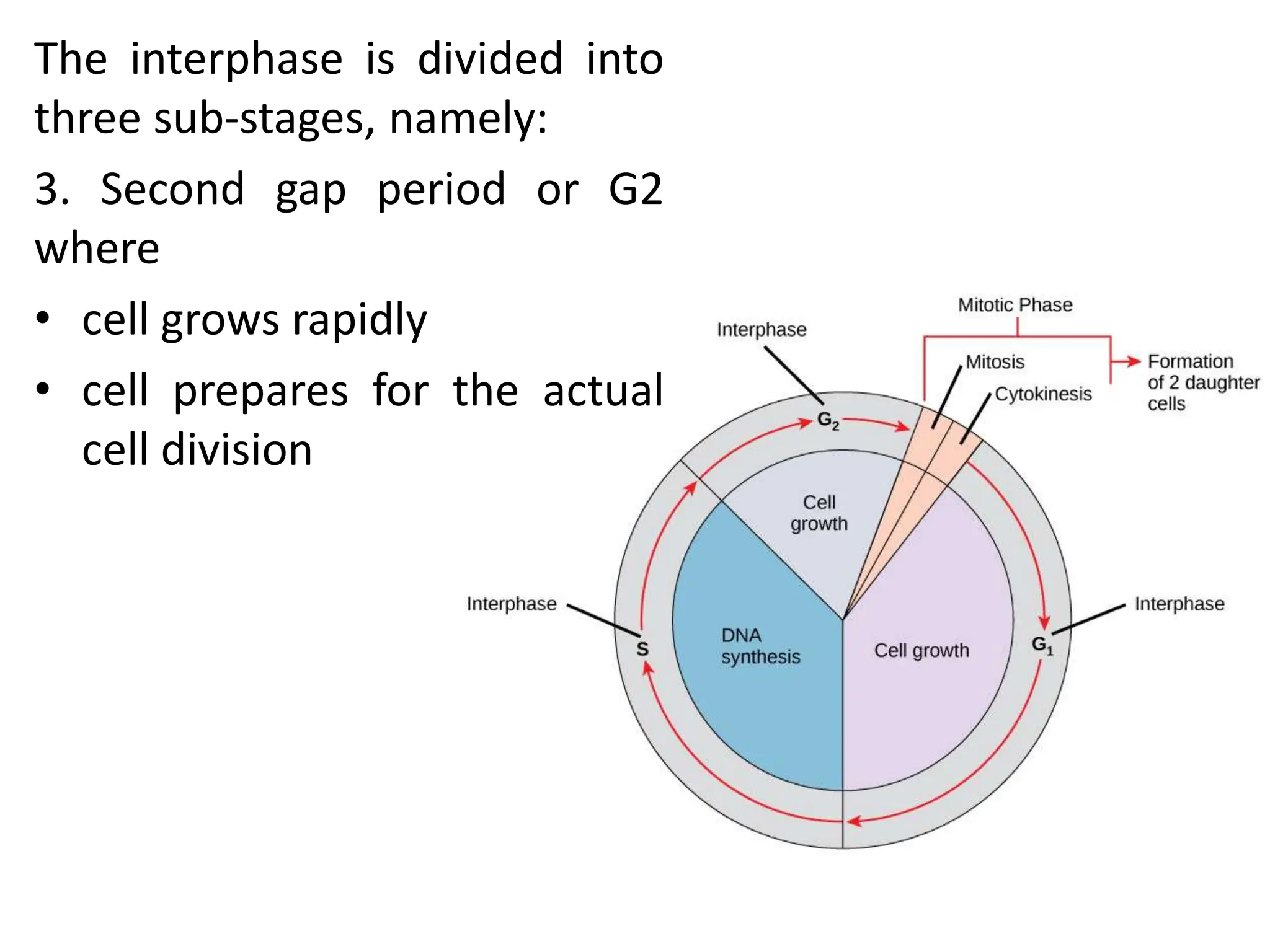 CELL CYCLE Division Science 8 quarter IV.pptx
