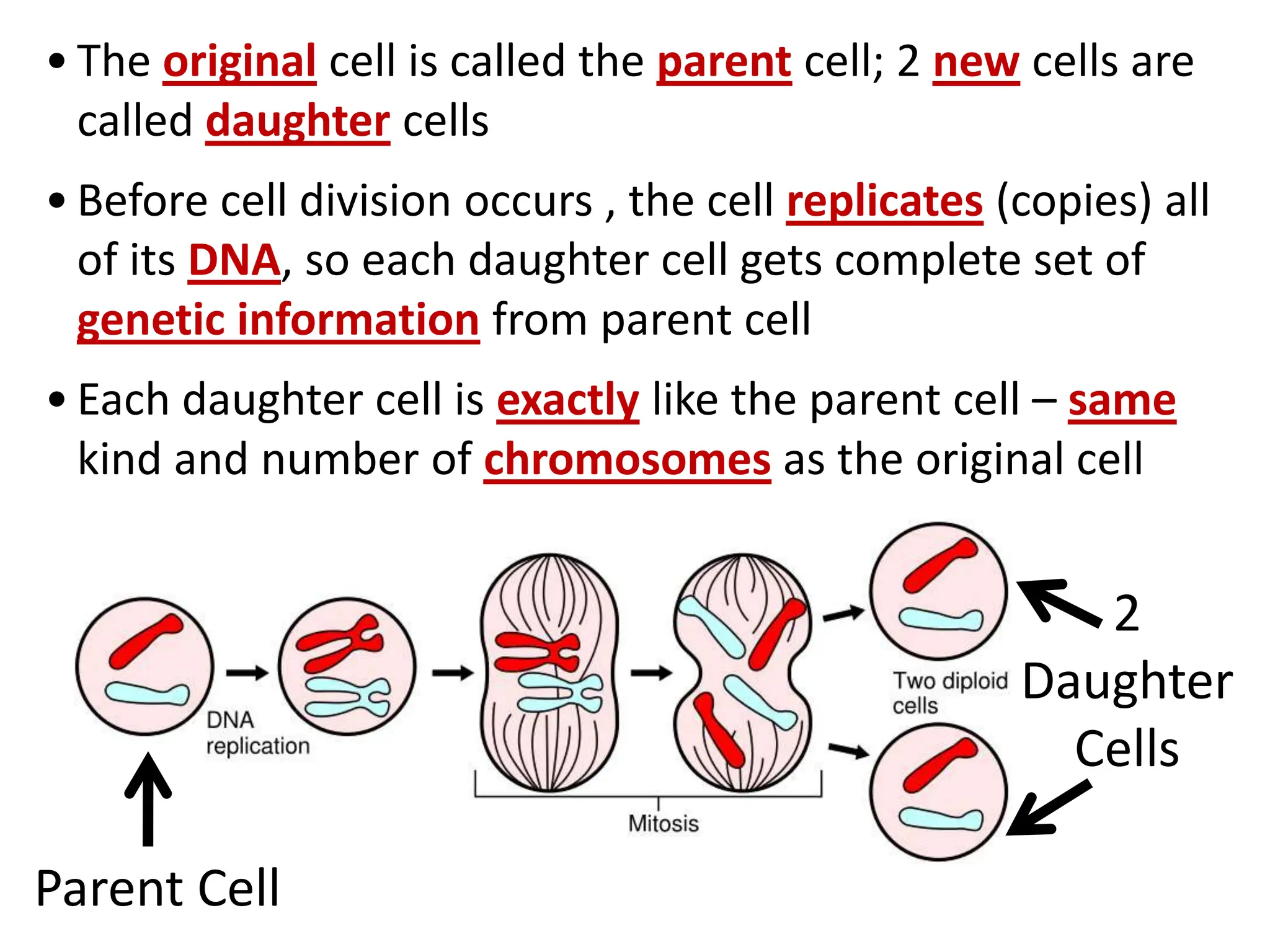 CELL CYCLE Division Science 8 quarter IV.pptx