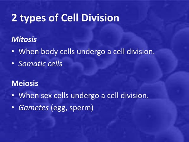 Cell Cycle Division Science 8 Quarter Iv Pptx Biological Sciences