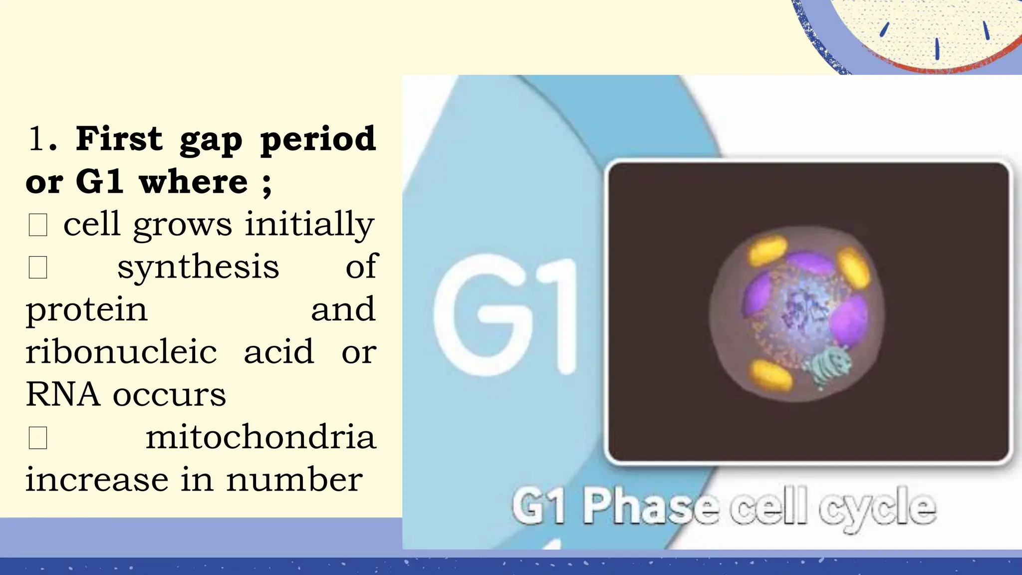 GRADE 8- SCIENCE 4TH QUARTER cell cycle.pptx