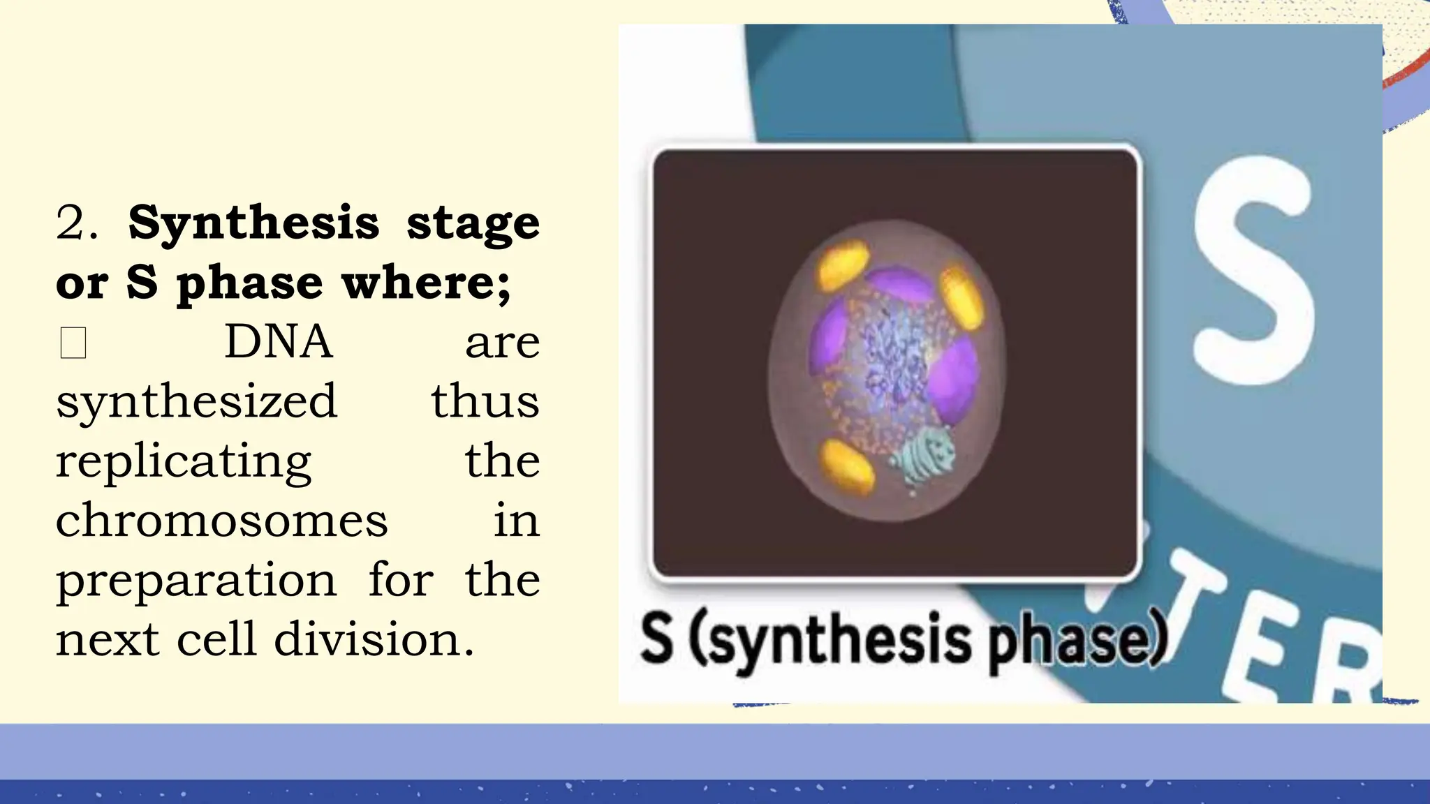 GRADE 8- SCIENCE 4TH QUARTER cell cycle.pptx