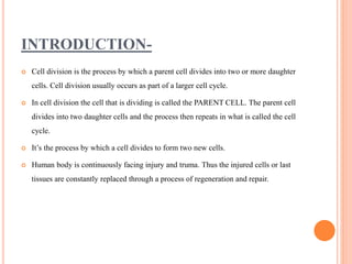 CELL CYCLE.pptx Akanksha trivedi Rama University kanpur | PPTX