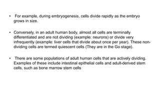 CELL CYCLE for ug and pg medical students for knowledge | PPTX