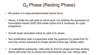 CELL CYCLE for ug and pg medical students for knowledge | PPTX