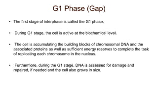 CELL CYCLE for ug and pg medical students for knowledge | PPTX