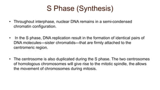 CELL CYCLE for ug and pg medical students for knowledge | PPTX