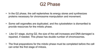 CELL CYCLE for ug and pg medical students for knowledge | PPTX