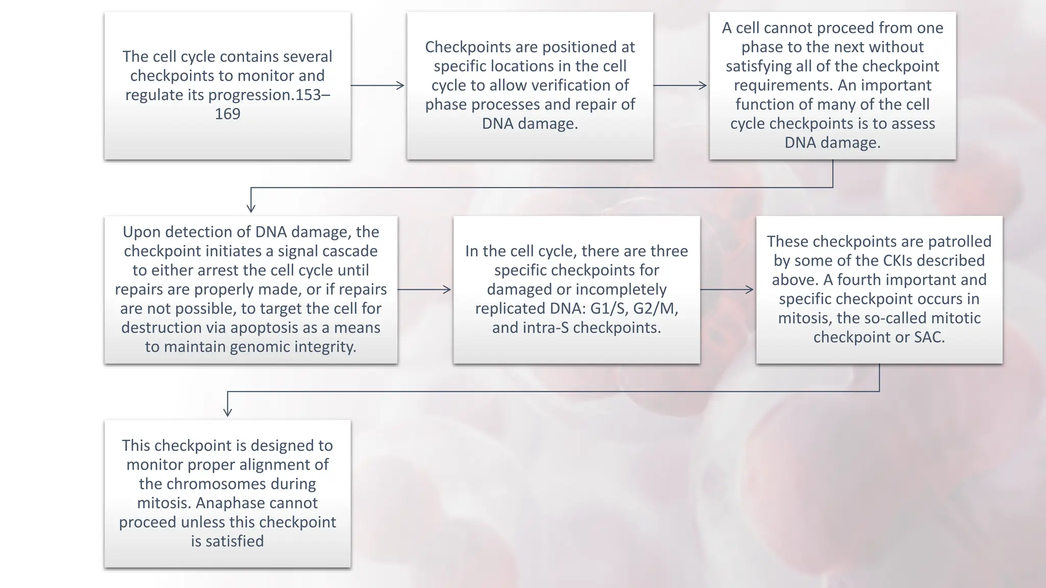 cell cycle: Phases, control and analysis.pptx