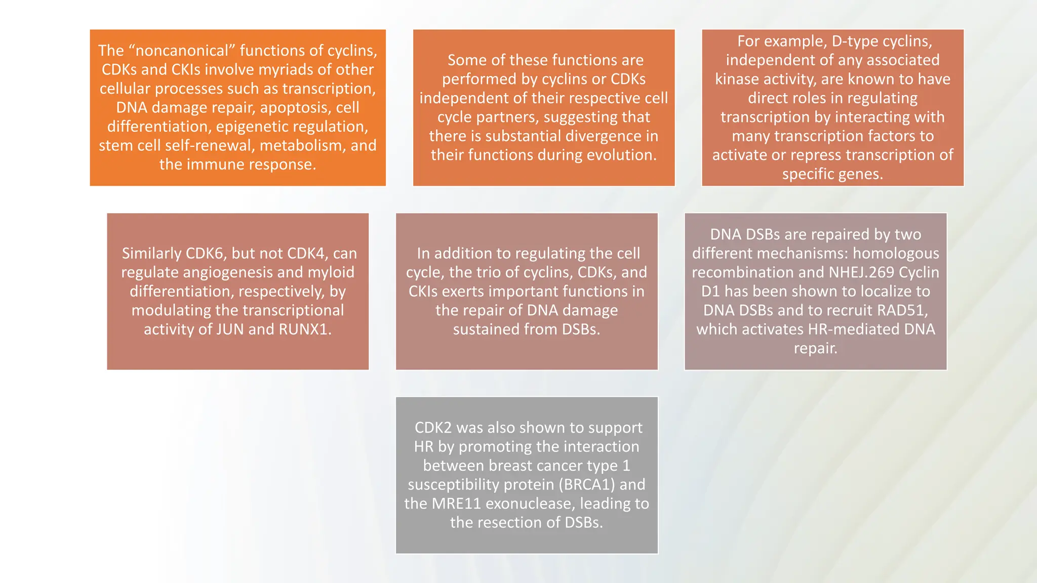 cell cycle: Phases, control and analysis.pptx