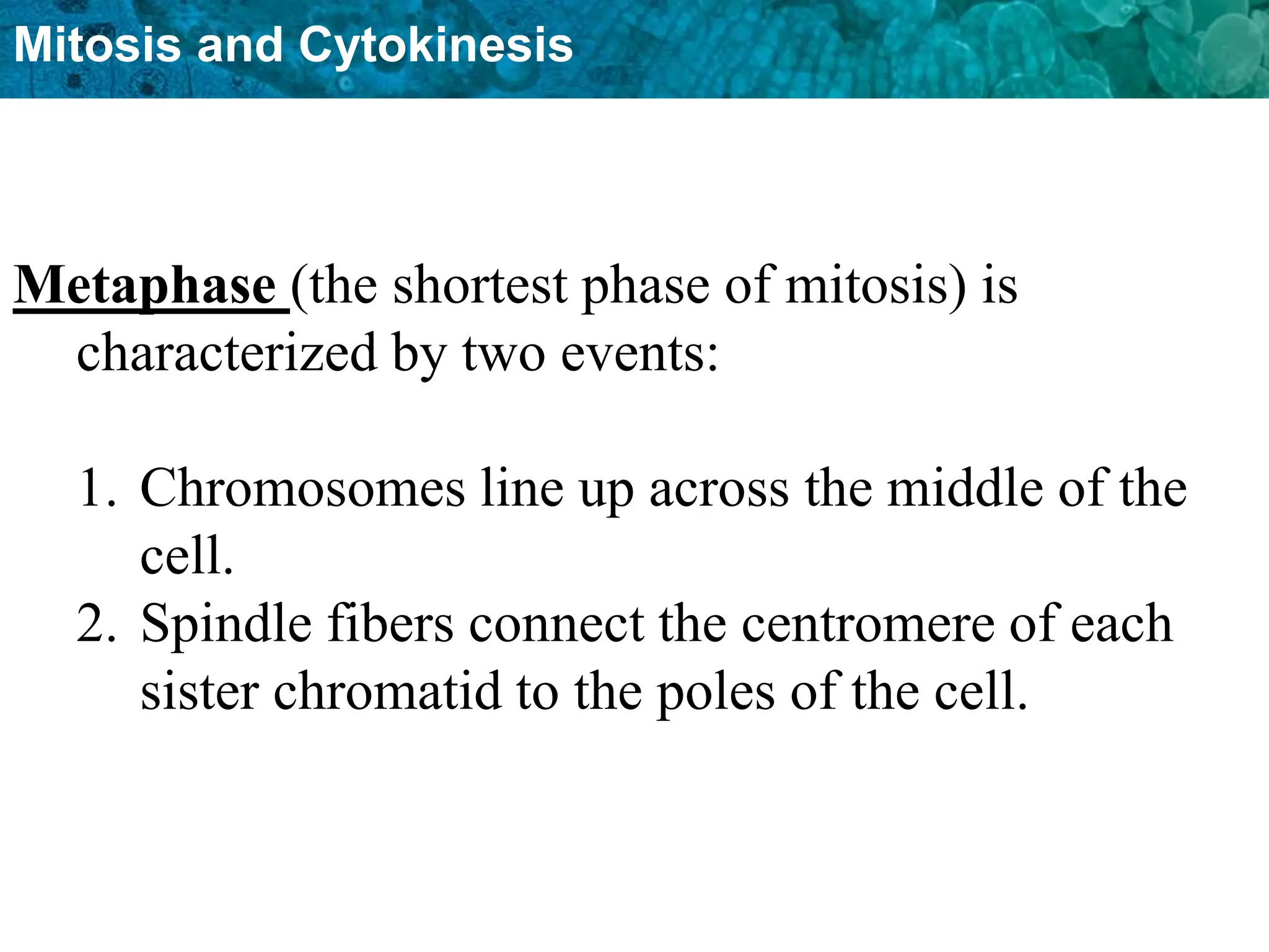 Cell Cycle for grade 8 science 2nd quarter.ppt